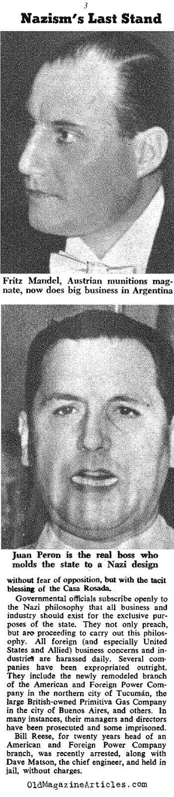 Fotos Viejas de Mar del Plata: CHALET DE FRIEDRICH MANDL - PRETTY NOOK