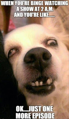 The funniest dog memes with commentary!