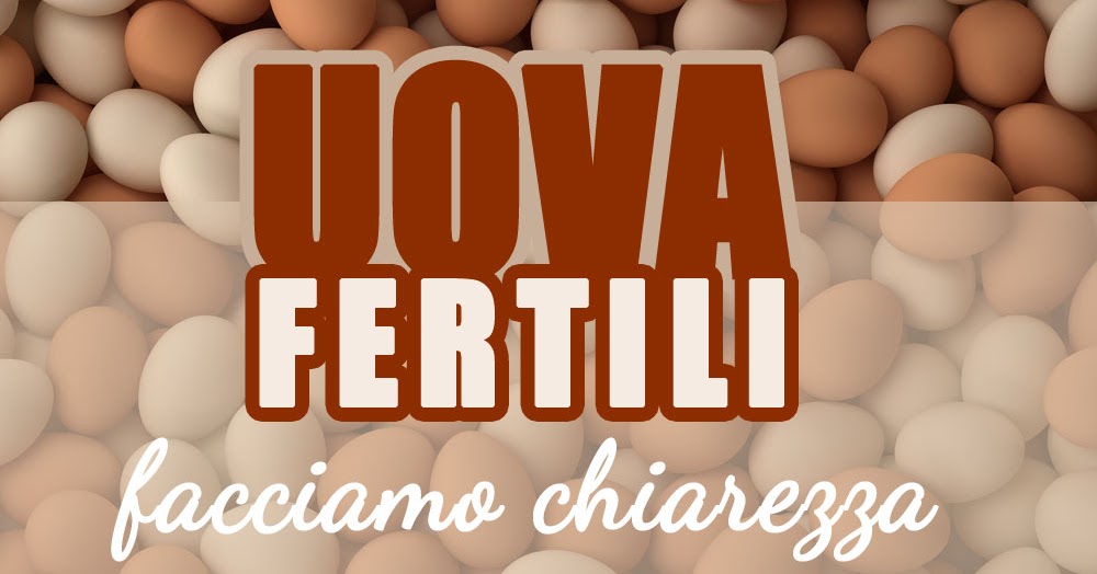 Uova Fertili da Incubare in Vendita o Regalo: Facciamo Chiarezza