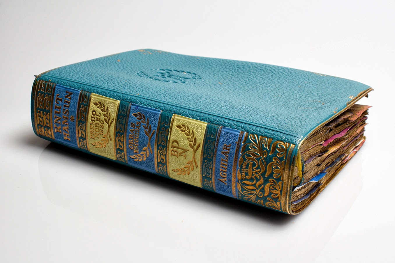 catálogo de lomos: libro intervenido