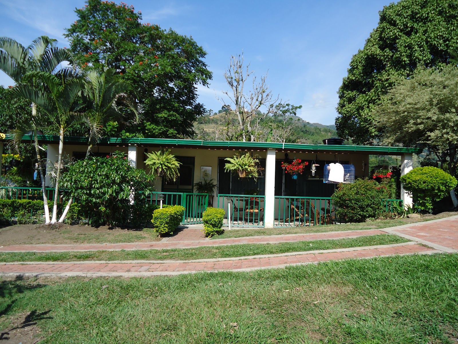 Finca Raiz