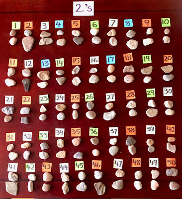 100th Day of School Project