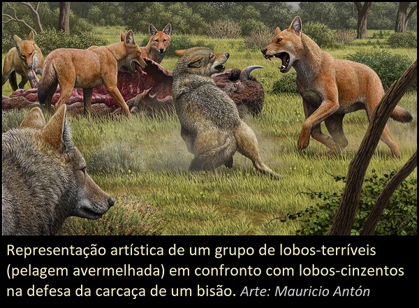 Os lendários Lobos-Terríveis não eram lobos - SAtualizadoNews
