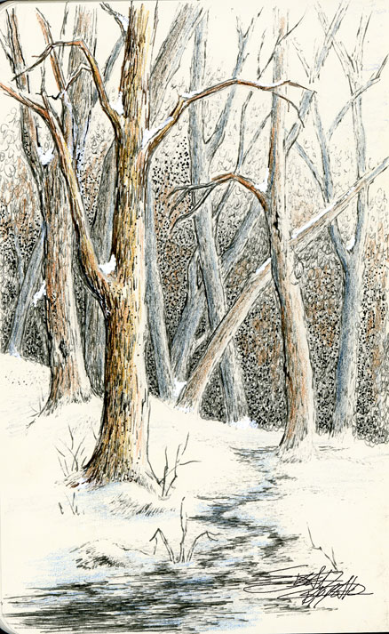 sbwatercolors and sketching: Winter Scene - Pen and Ink plus Color