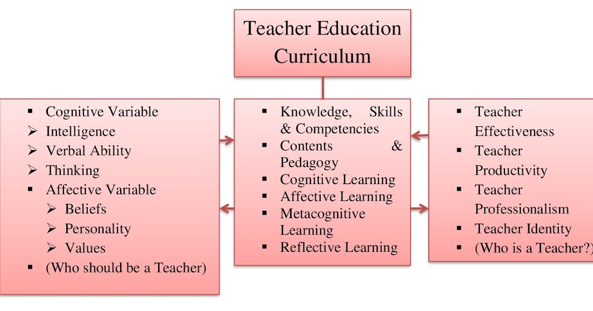 The Role of Teachers in Education and Training