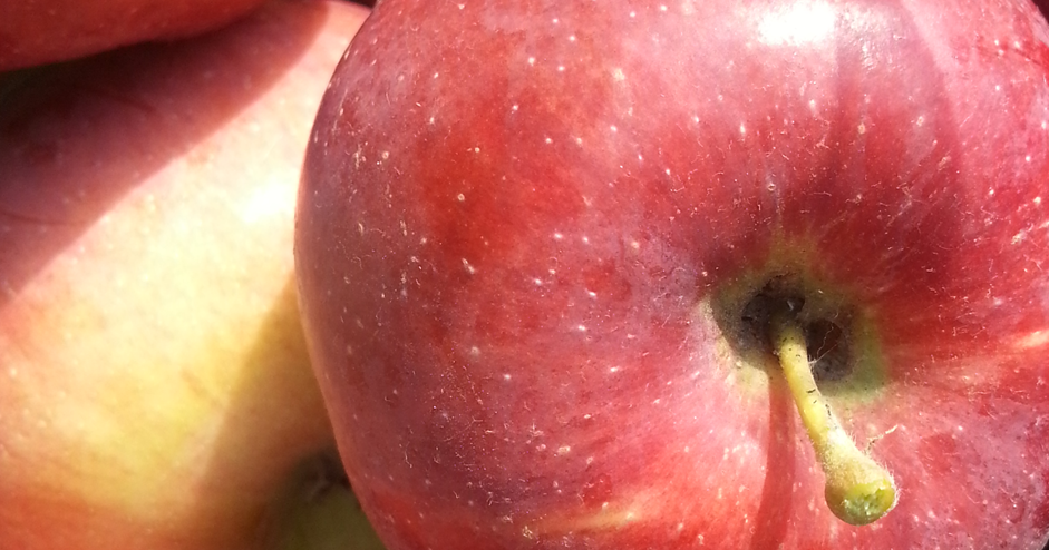 10 Apple Videos on YouTube for Kids | Sara J Creations