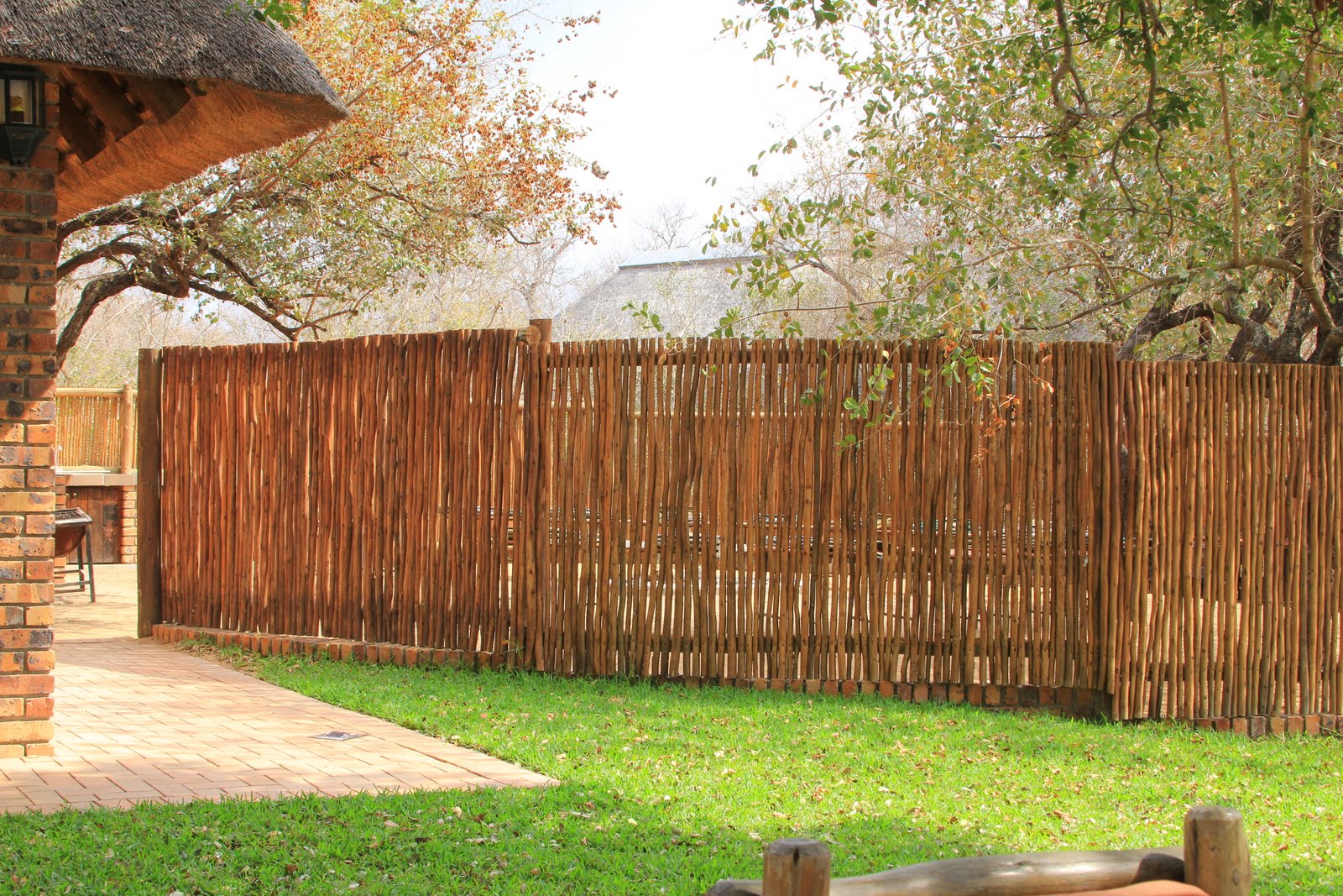 Adventures: Pictures of Gomo Gomo Game Lodge