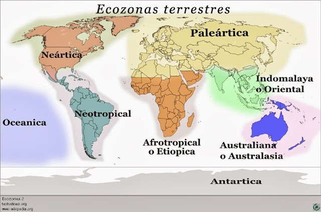 La importancia de las regiones y los recursos naturales: Regiones ...