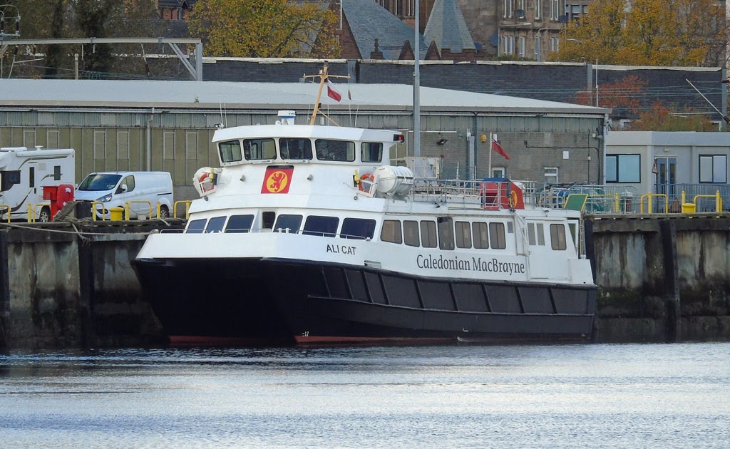 Clyde Naval Gazing: Ali Cat