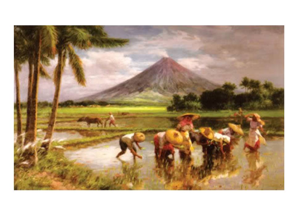 Planting Rice With Mayon Volcano