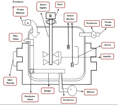Bioremediasi - Ini Itu
