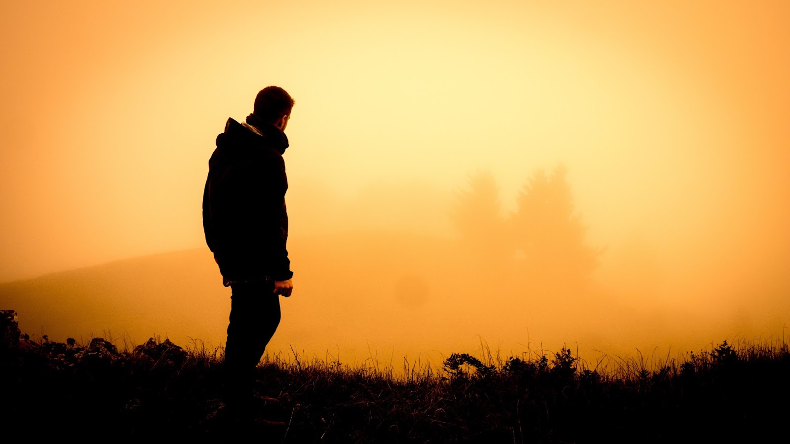 Man Watching At Foggy Sunset Desktop Wallpaper