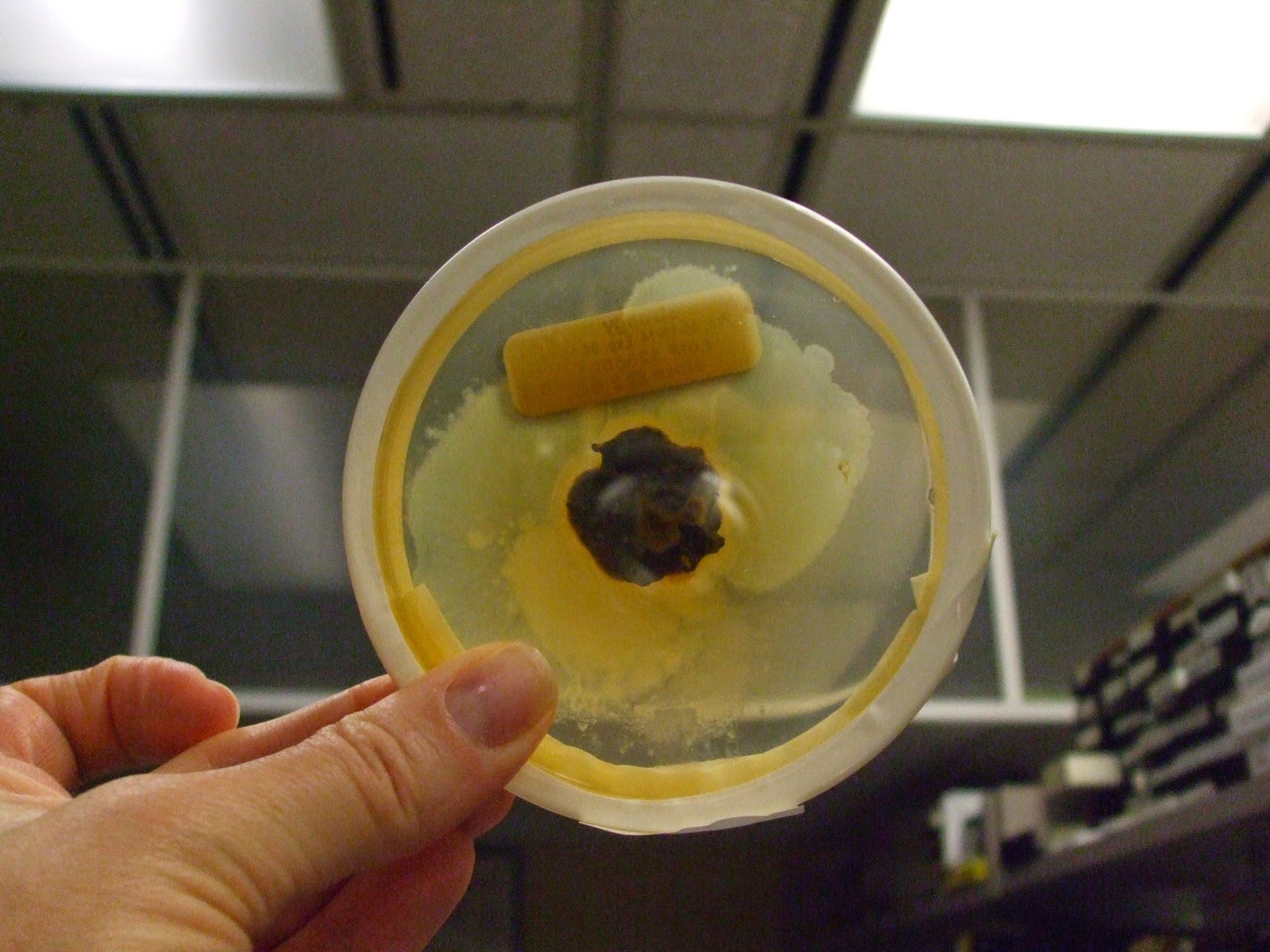 Creepy Dreadful Wonderful Parasites Case Of The Week 310