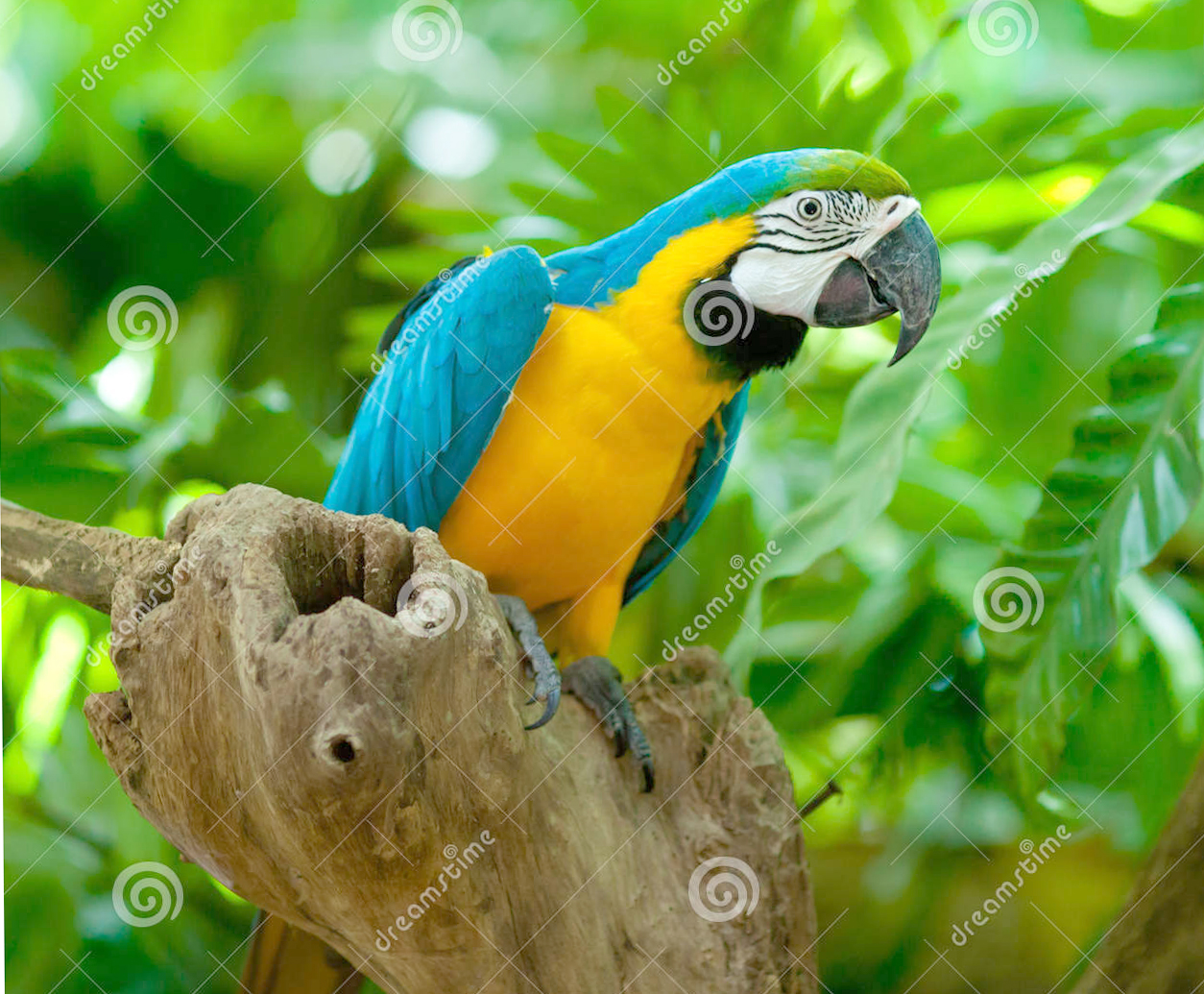 Popat's autobiography