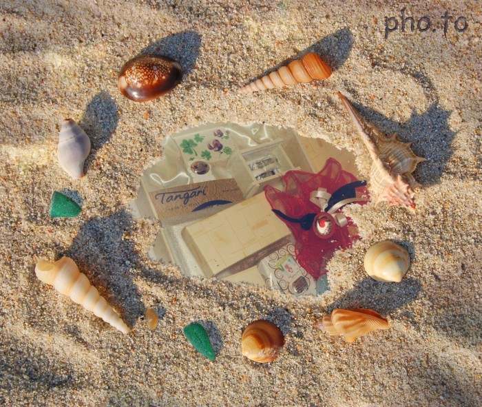 Ogni cosa a modo mio: TANGARI INNOVAZIONE DEDIZIONE E PROFESSIONALITA'