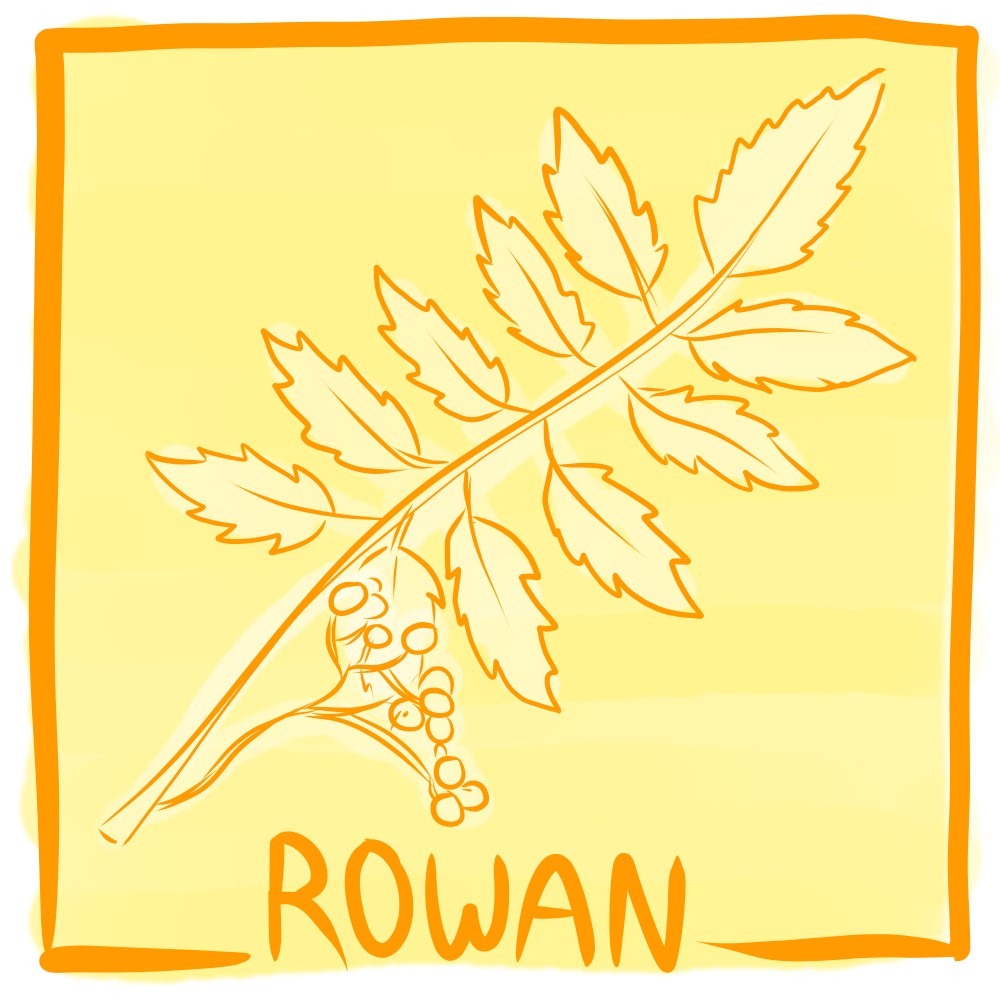 Two Birds in a Tree: February 2020