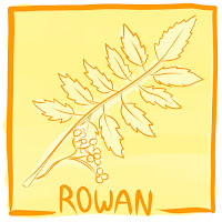 Two Birds in a Tree: February 2020