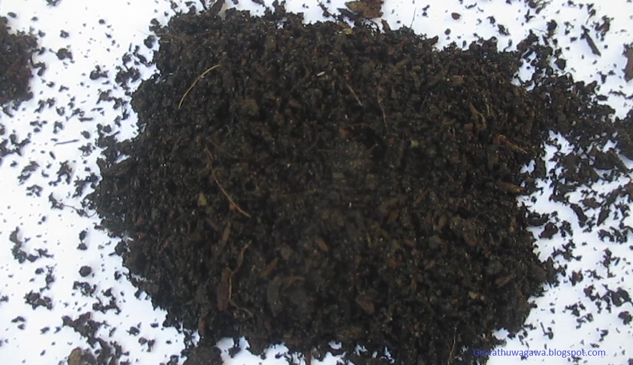 Different Types of Fertilizer in Sri Lanka