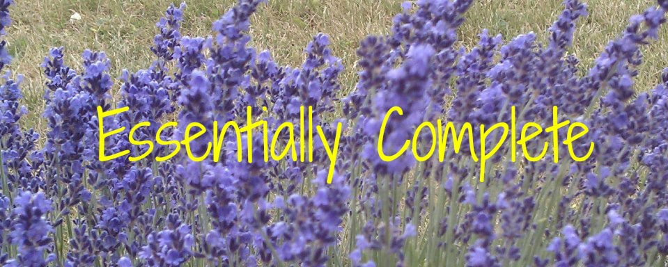 Essentially Complete: TABLE SALT & SEA SALT -- WHAT'S THE DIFFERENCE?