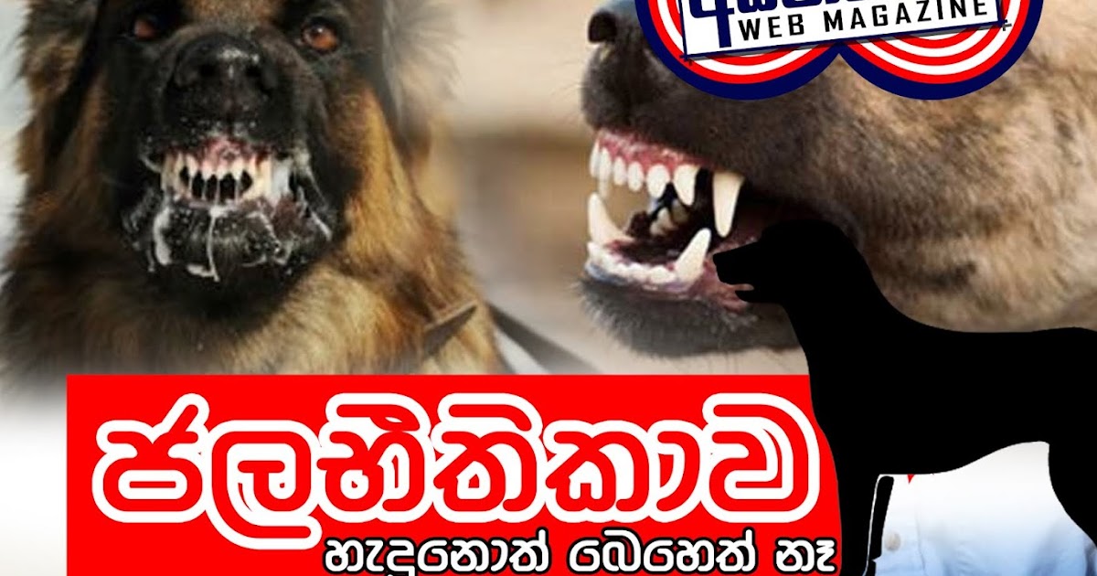 අසීමාන්තික Web Magazine