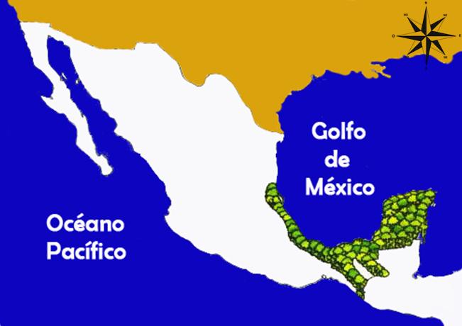 Regiones Naturales de México: 1. Selva Húmeda