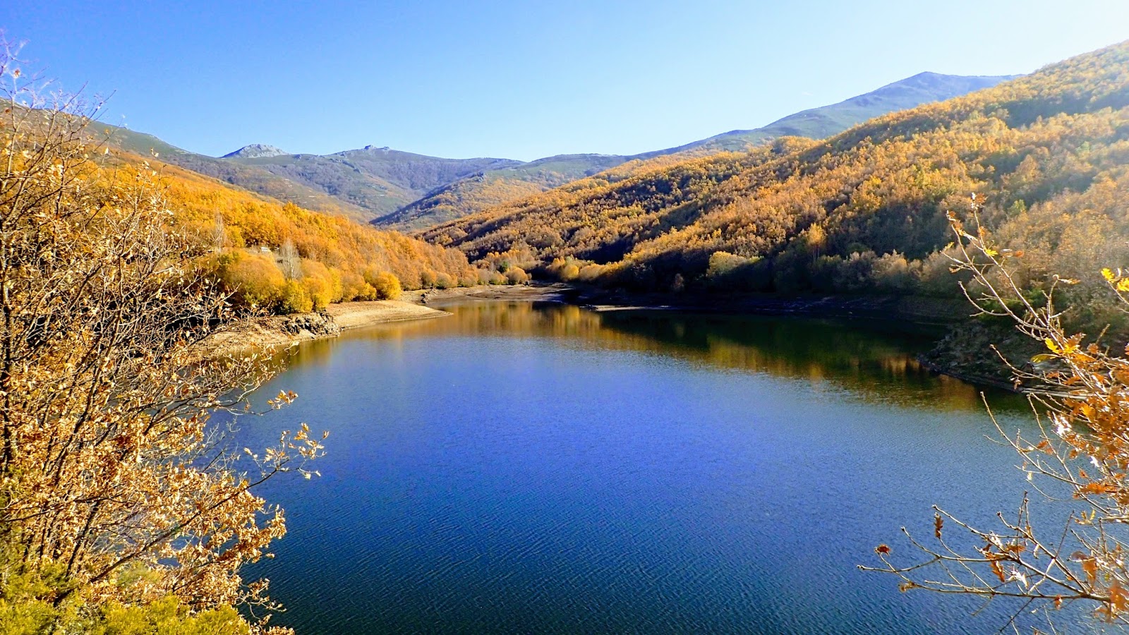 Wikiloc | Ruta Hayedo de la Pedrosa, Riofrío de Riaza