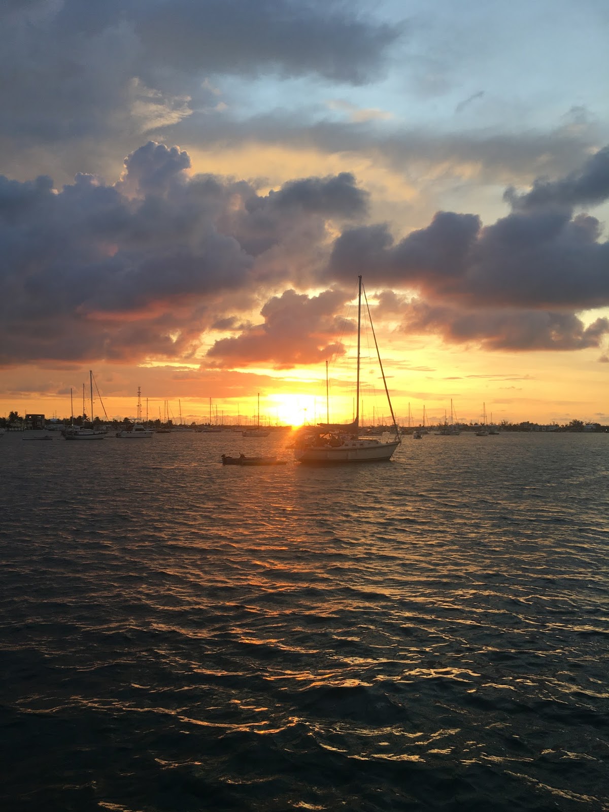 Aquaholic: Tuesday 6/2/2020 - Boot Key Florida (Marathon)