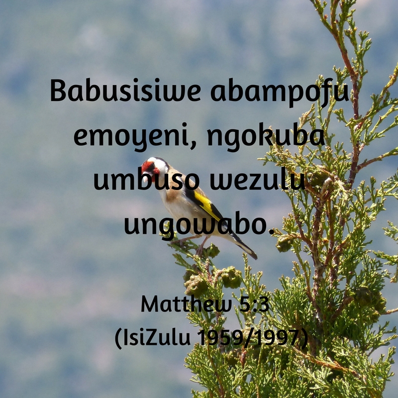 Jesus’ Salvation: isithombe sosuku