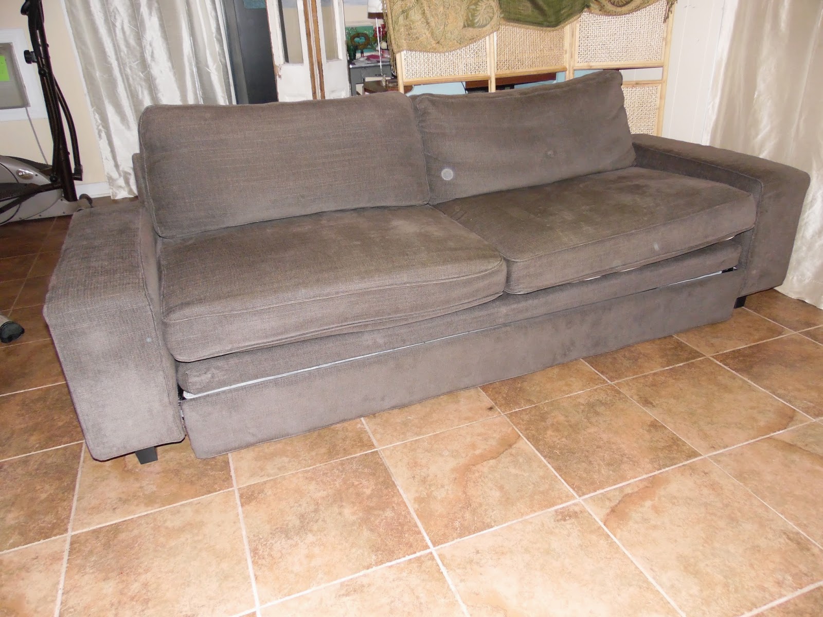 Wildly Domesticated: What Has Six Legs & a Bed?