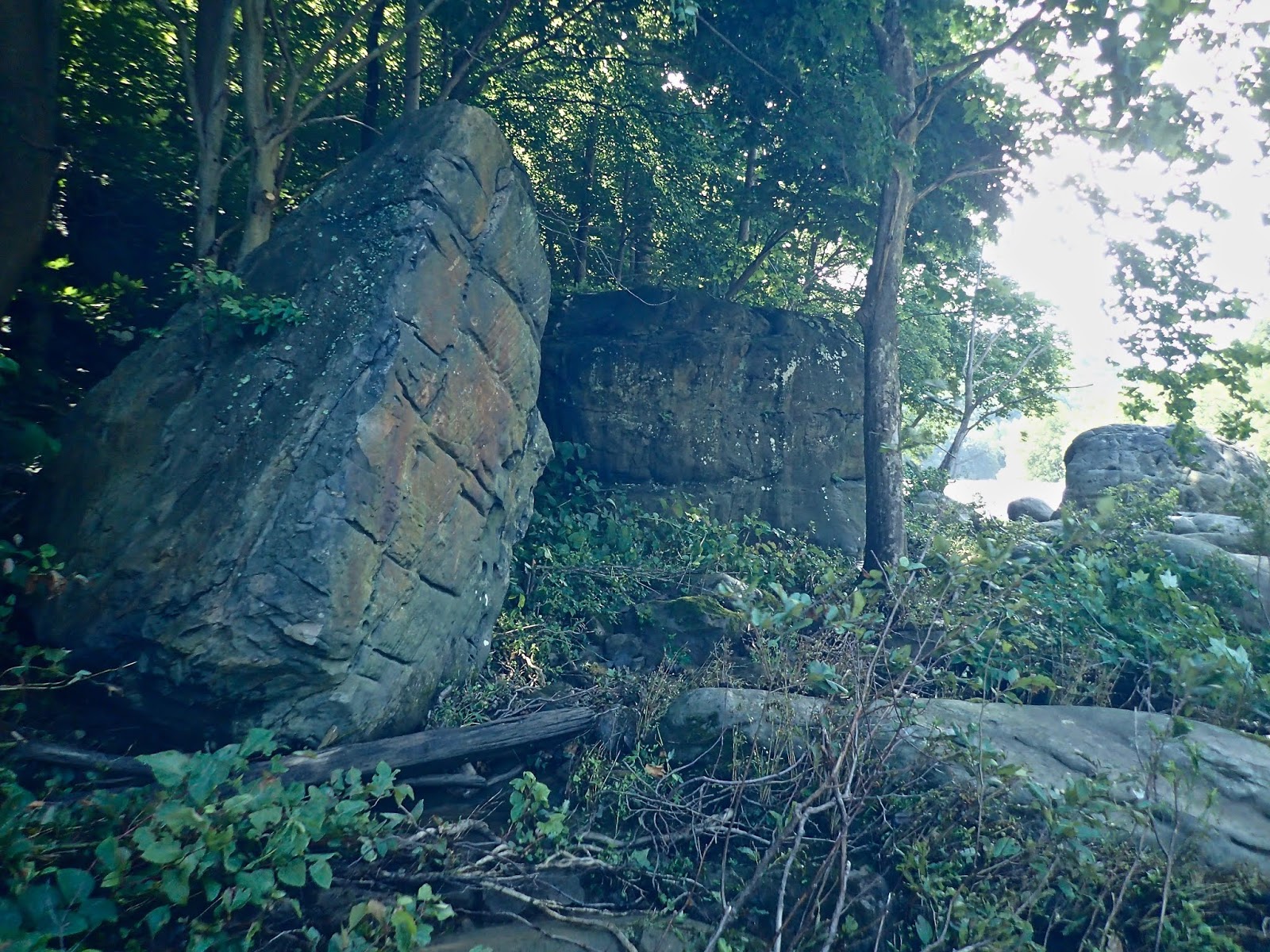 Wildfilm: Penny Rock Boulders