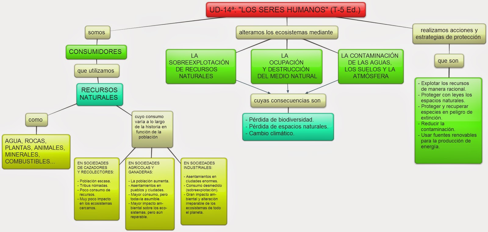 AULA6HERENCIA: CONOCIMIENTO DEL MEDIO UD-14: "EL SER HUMANO EN LOS ...