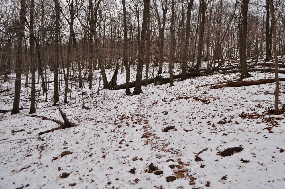 Harriman Hiker: Harriman State Park and Beyond: Hook Mountain and ...