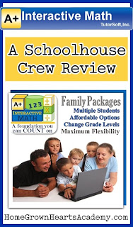 Home Grown Hearts Academy Homeschool Blog: Our Reviews