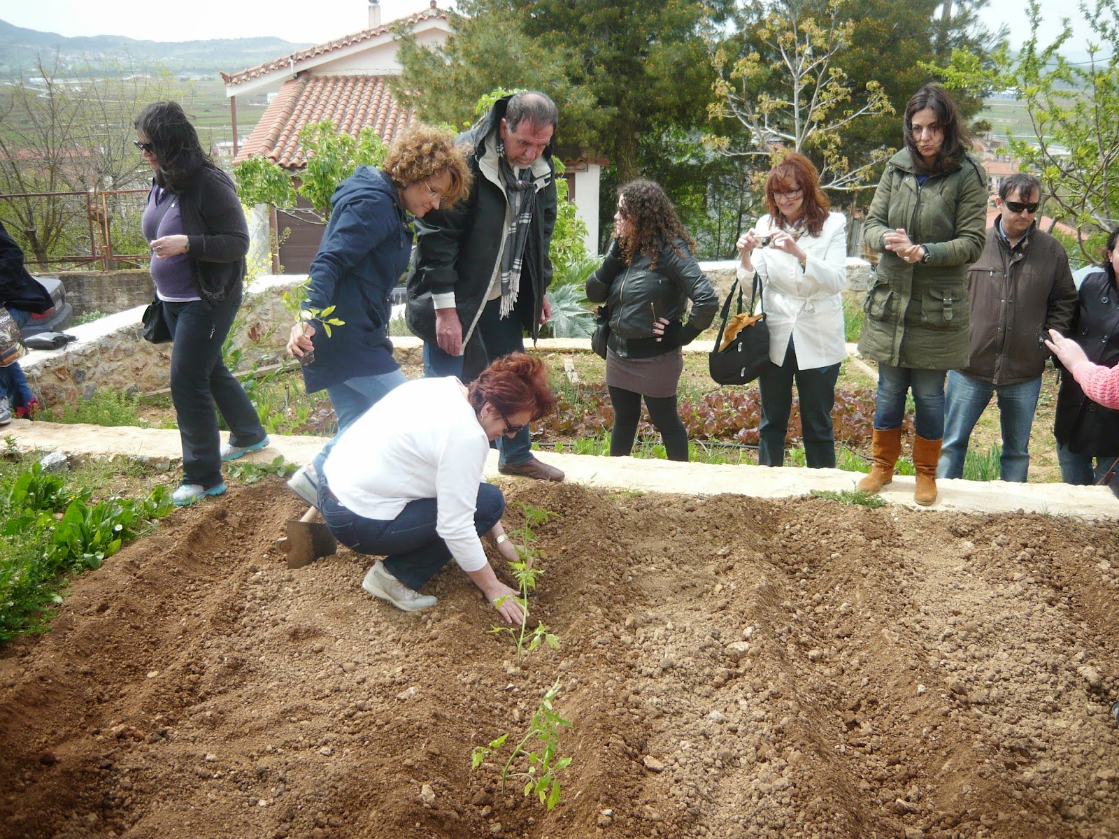 ΣΧΟΛΙΚΟΙ ΛΑΧΑΝΟΚΗΠΟΙ : ΟΙ ΚΗΠΟΙ ΤΩΝ ΣΧΟΛΕΙΩΝ ΤΗΣ Δ/ΣΗΣ Β/ΘΜΙΑΣ ΕΚΠ/ΣΗΣ ...