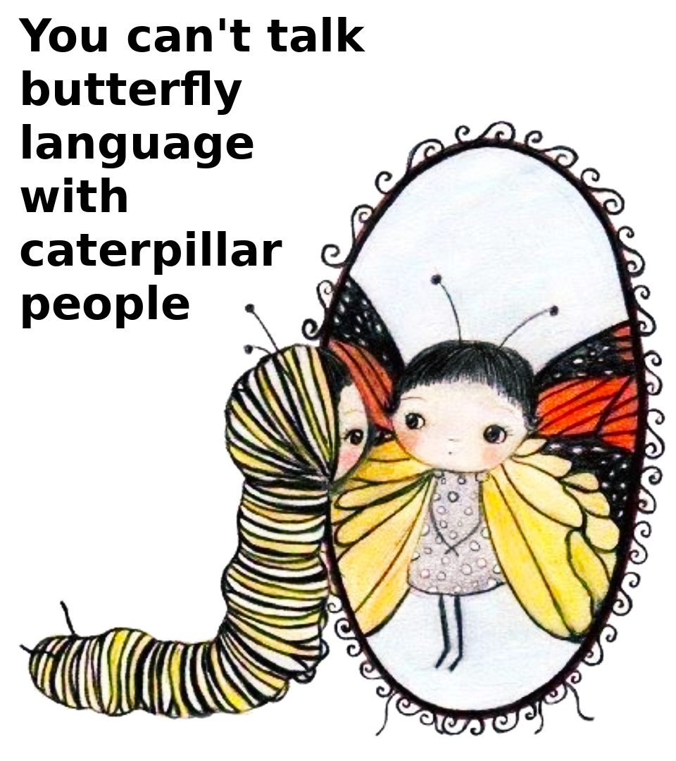 You can't talk butterfly language with caterpillar people