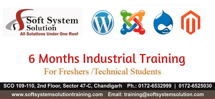 Six weeks/Six months Industrial Training in Chandigarh: Tips For ...
