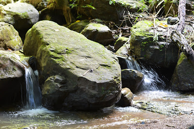 Dhaka to Keokradong | Best Travel Guide | Trip Navigation Bangladesh