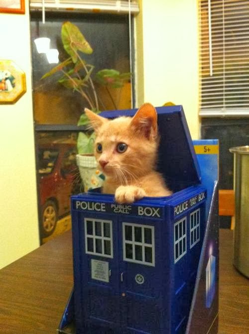 Choco Toujours: Tardis and Bowtie Cats