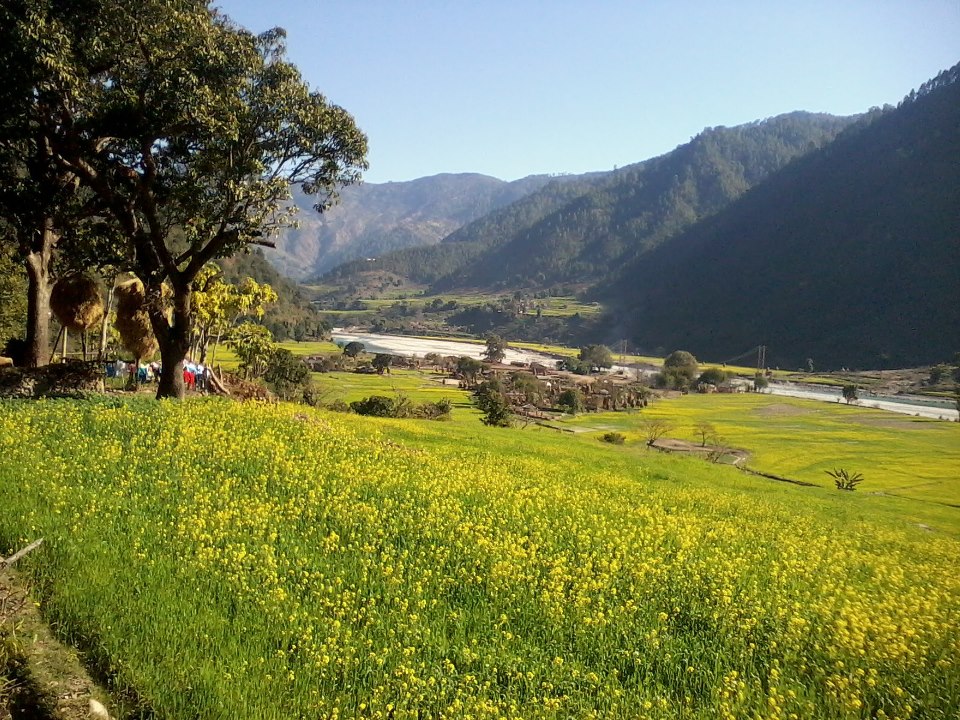 Baitadi district