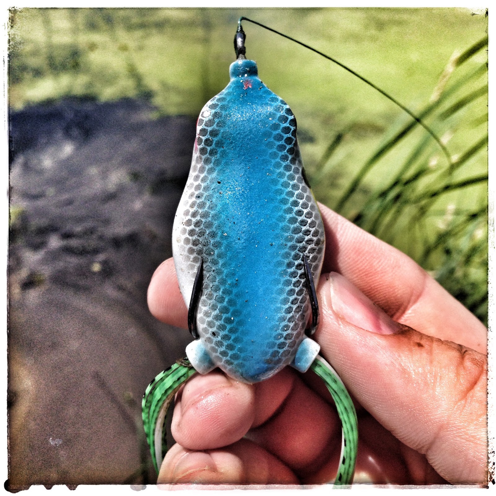 Bass Junkies Frog Pond: Reaction Strike Revolution Frog Review