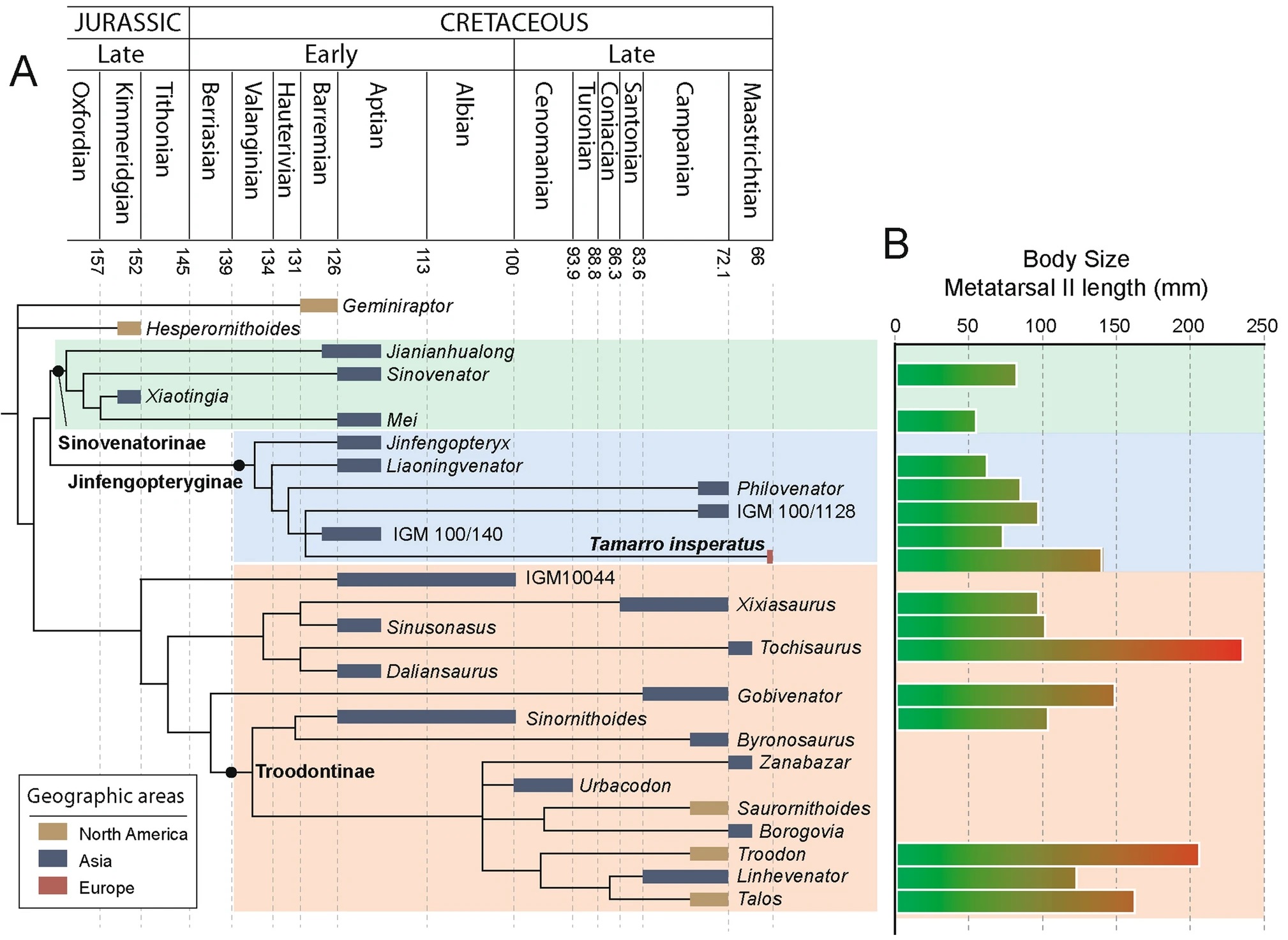 Species New to Science: [Paleontology • 2021] Tamarro insperatus • A ...