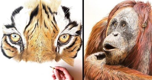 Design Stack: A Blog about Art, Design and Architecture: Color and ...