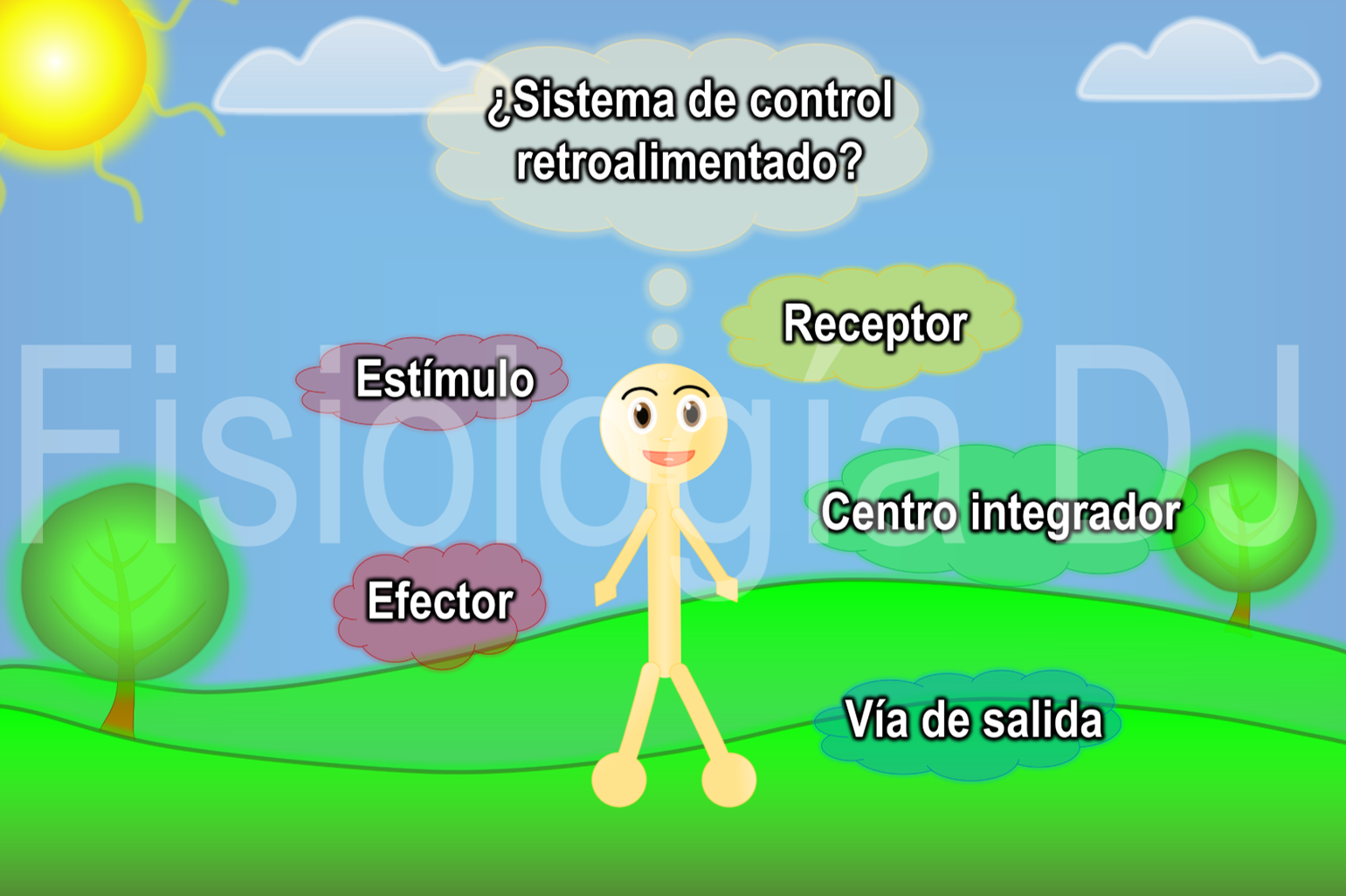 Fisiología DJ: Fisiología: Retroalimentación.