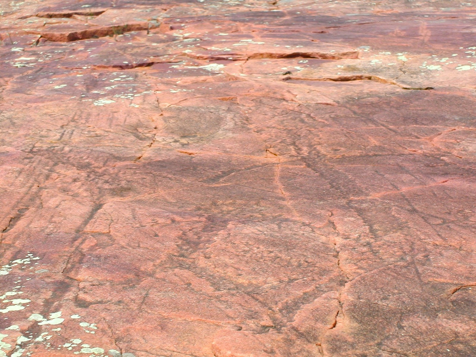 earthscienceguy: Minnesota Geology Monday - Jeffers Petroglyphs