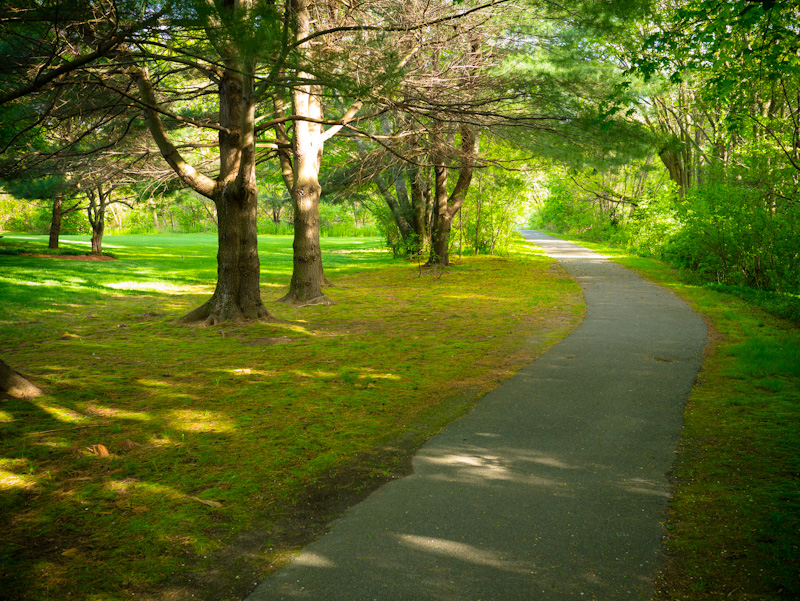Boston By Bike: Lower Vine Brook Bikeway