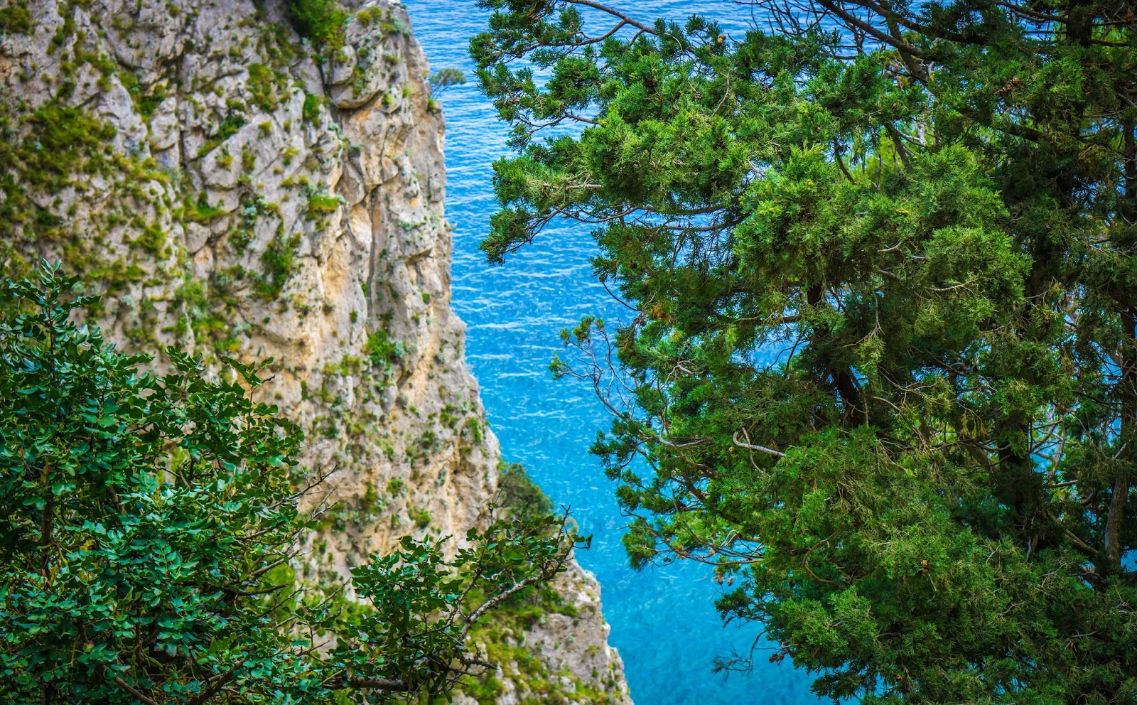 A Minute in the Life of Maria: Capri, Italy