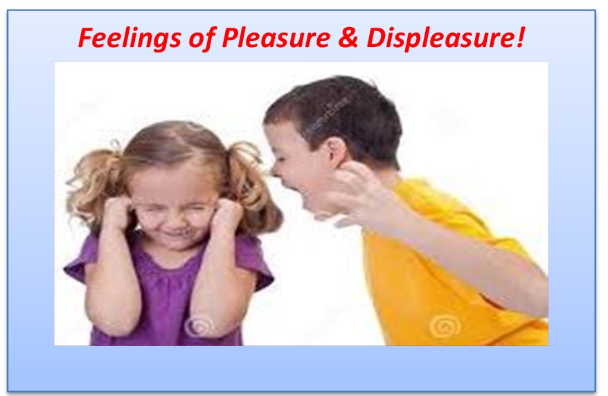 Lesson Plan of Expressing Pleasure & Displeasure English Grade VI
