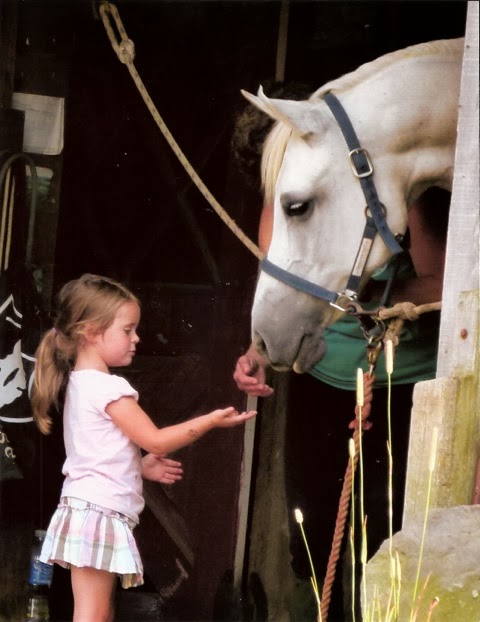 Melissa's Mochas, Mysteries and Meows: Interview/Giveaway with Holly ...