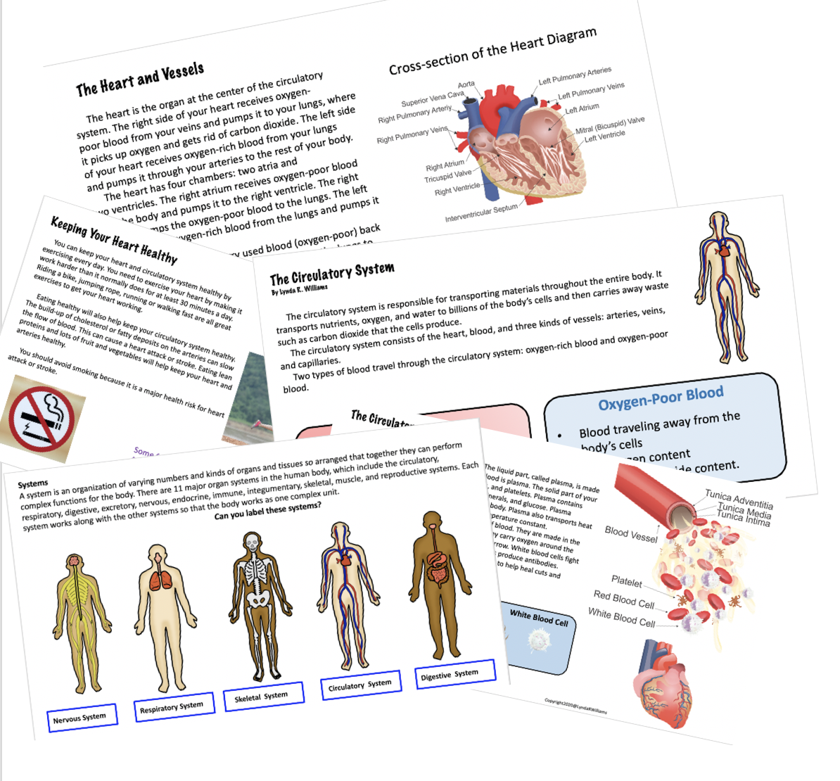 Circulatory System Online Unit NGSS MS-LS1-3 and Utah SEEd 7.3.3 ...