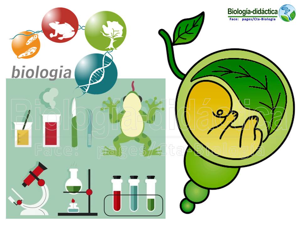 Biología didáctica: Ingenieria BIO - Ser Vivo